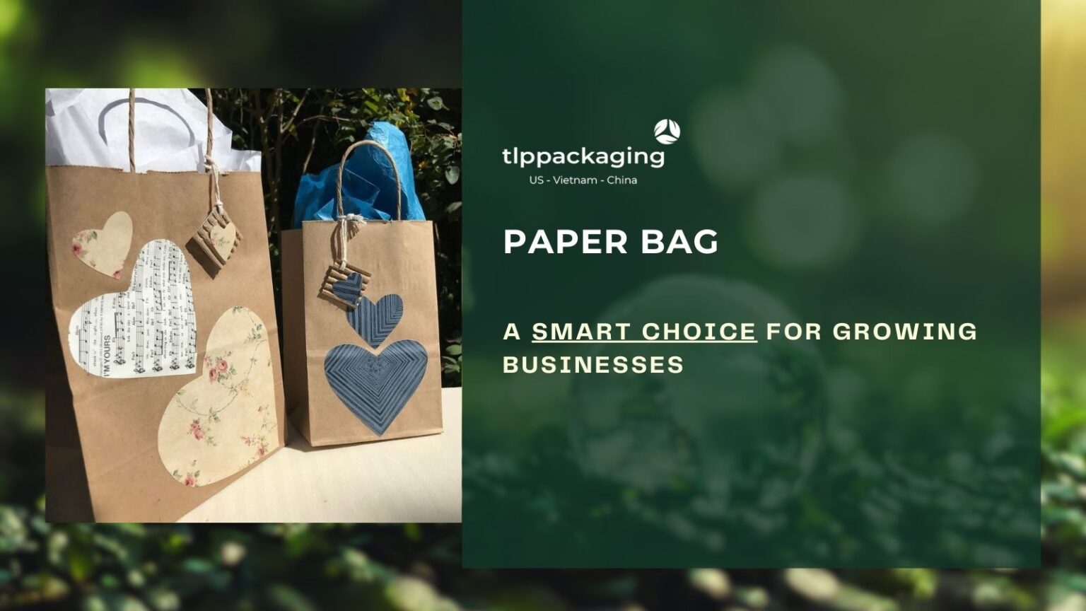 Paper Bag: Sustainable Material And Comparison Exciting
